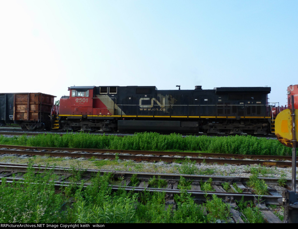 CN 2501